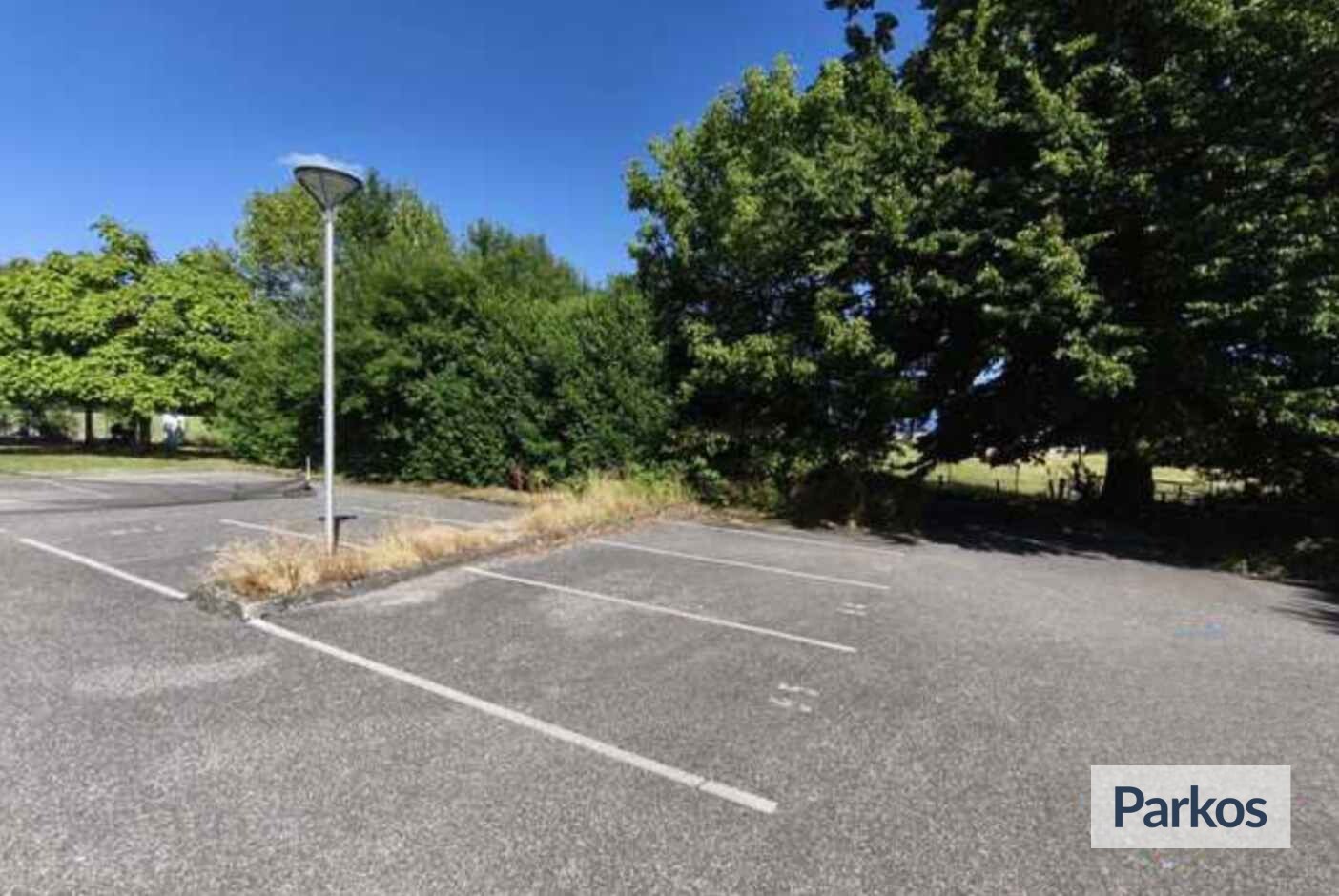 Royal Parking - Reviews, prices and photos
